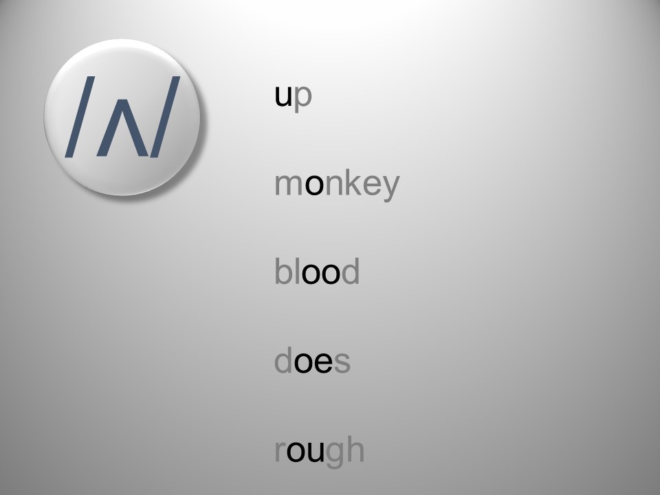 Sounds for Literacy - Video Course Consonants